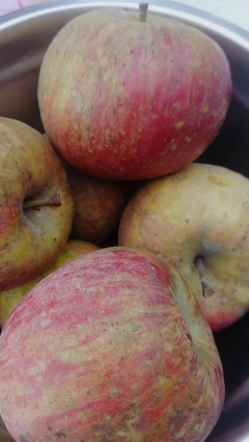 12 Avantages De Manger Des Pommes